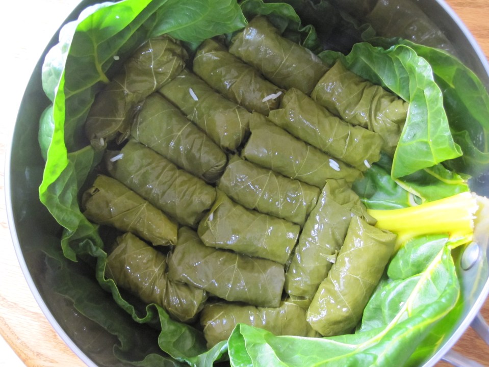 Stuffed Grape Leaves (Dolmas) | My Pantry Shelf