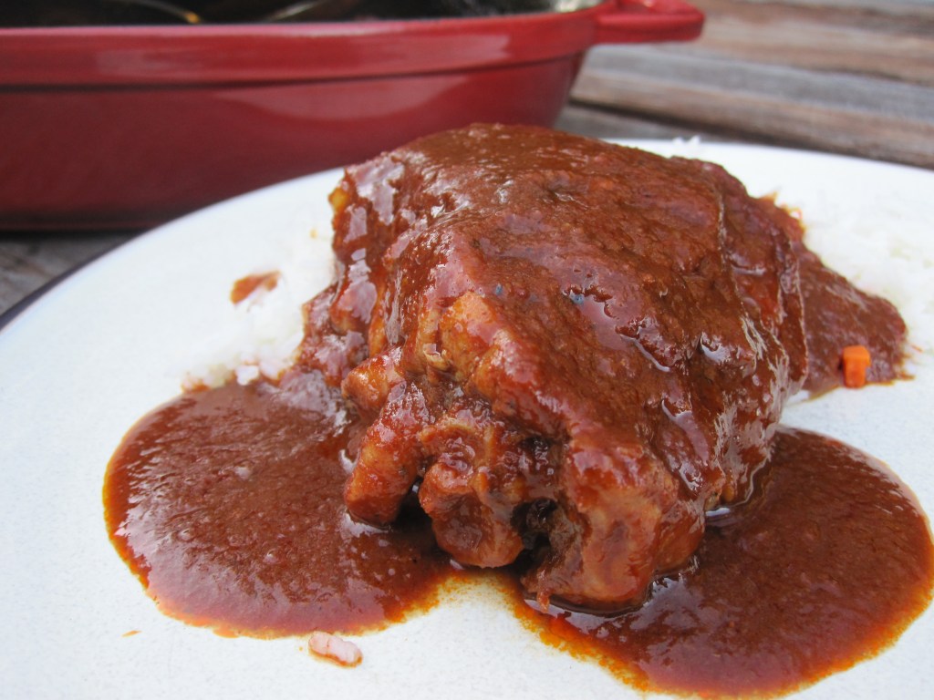 Chicken Mole (and a few thoughts on the season) | My Pantry Shelf